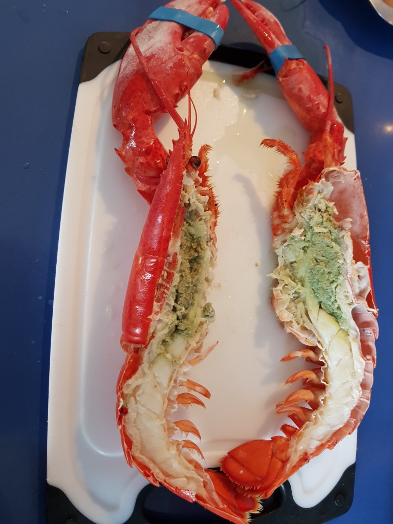 Grillet hummer med urtesmør – CITRUSFRUKTEN